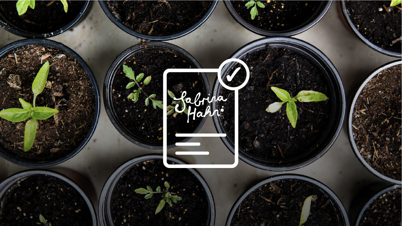 Benefits of Soil Fungi - Grow Safe