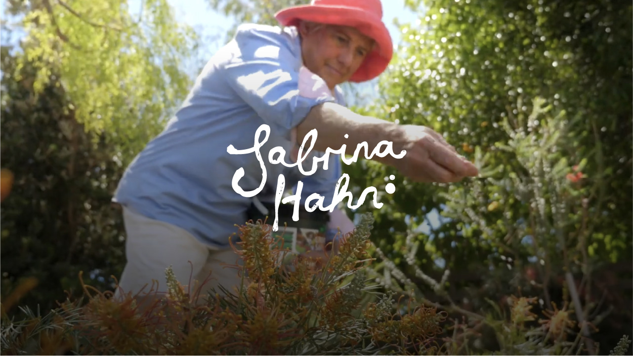 Feeding Native Plants - Grow Safe